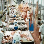 boning - Food Equipment Australia